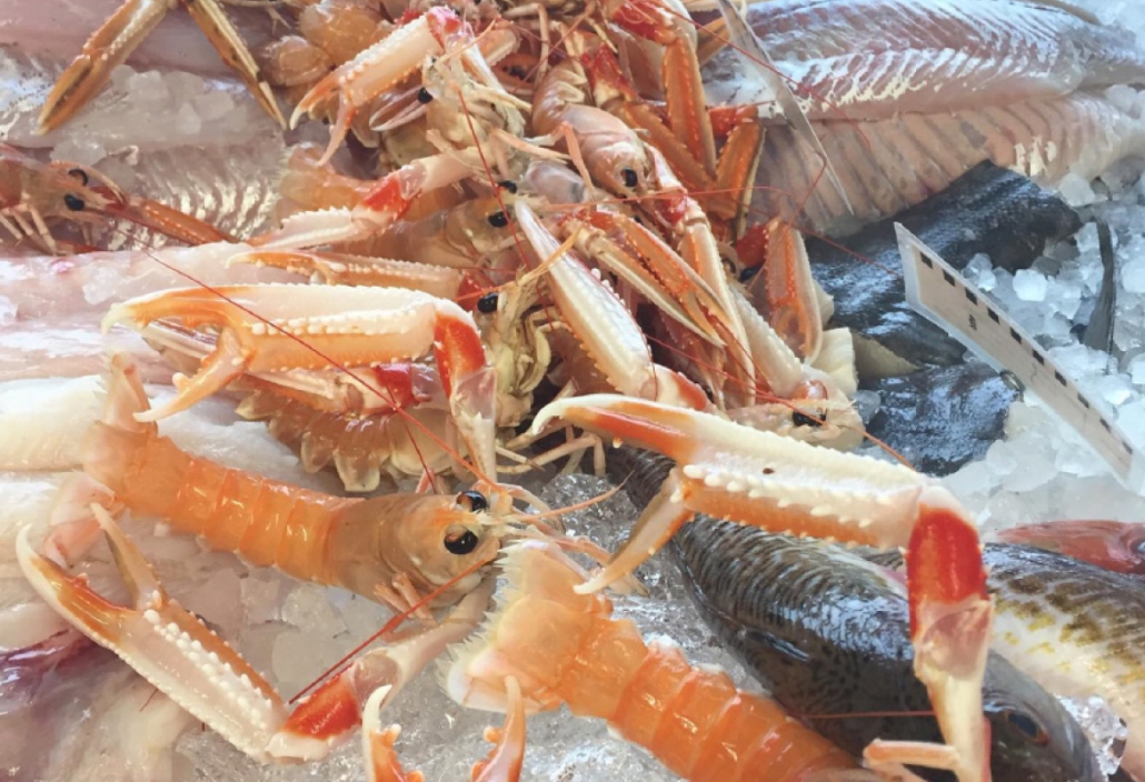 Helt i fisk – UD & SE