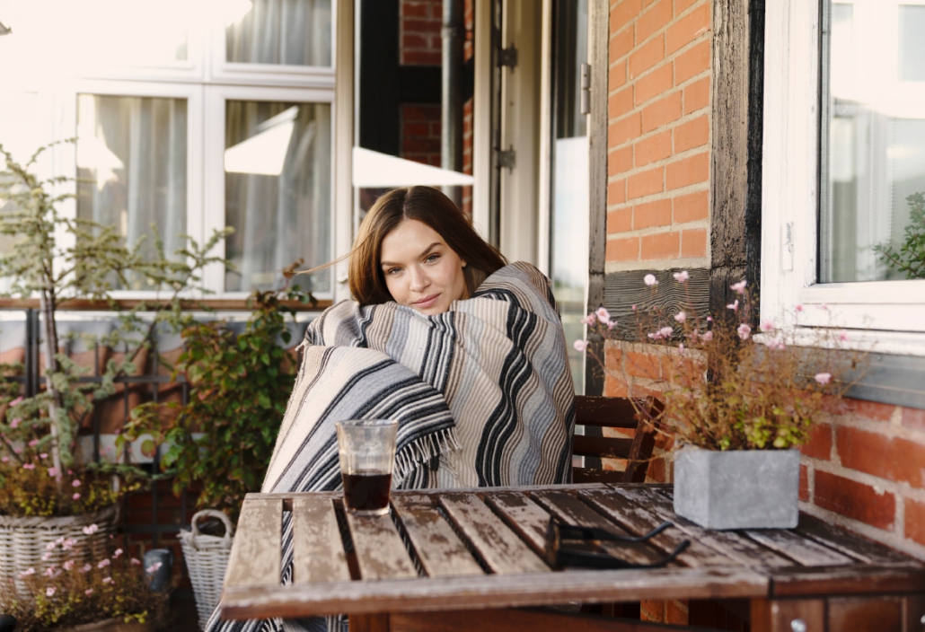 Den danske model – UD & SE