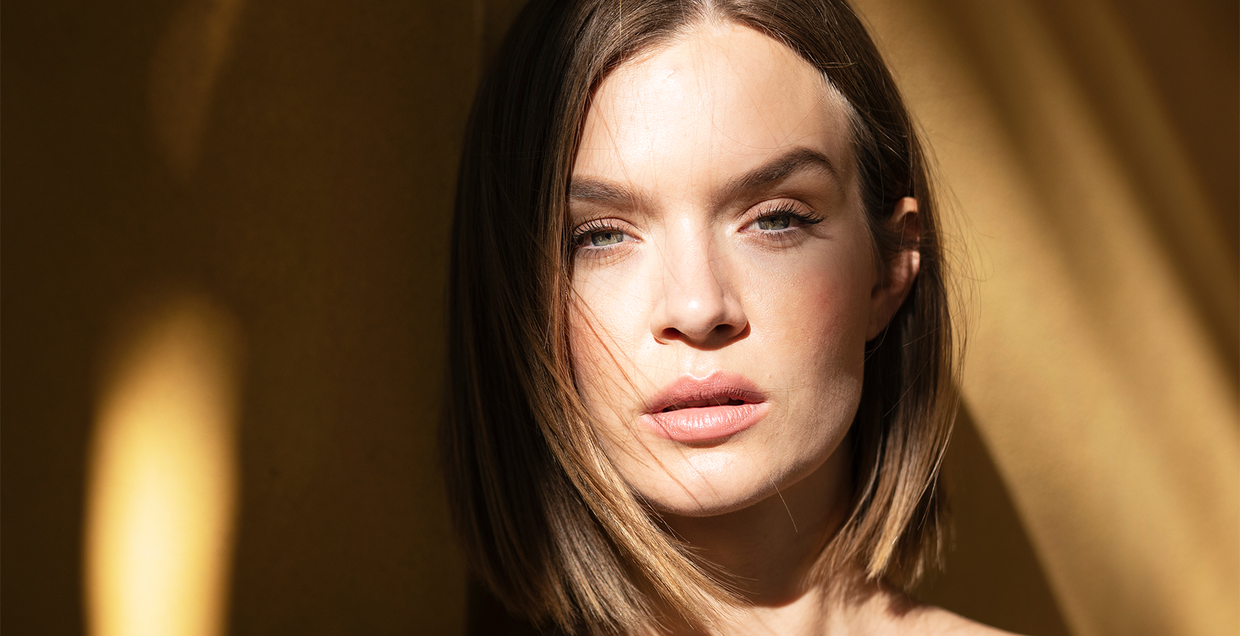 Den danske model – UD & SE